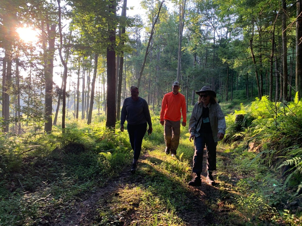 If You Like/Need To _____ , Don’t Miss _____ (Hidden Gems at the Highlights Foundation Retreat ...